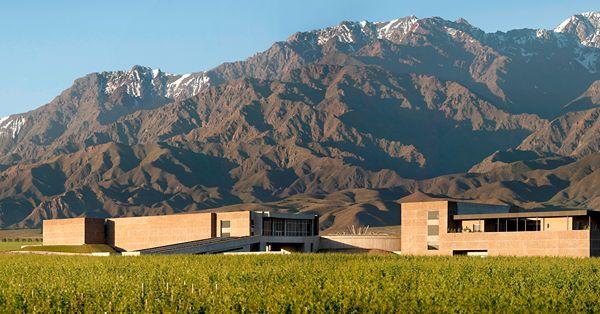 The World S 50 Best Vineyards 2025 The 51 100 List Revealed